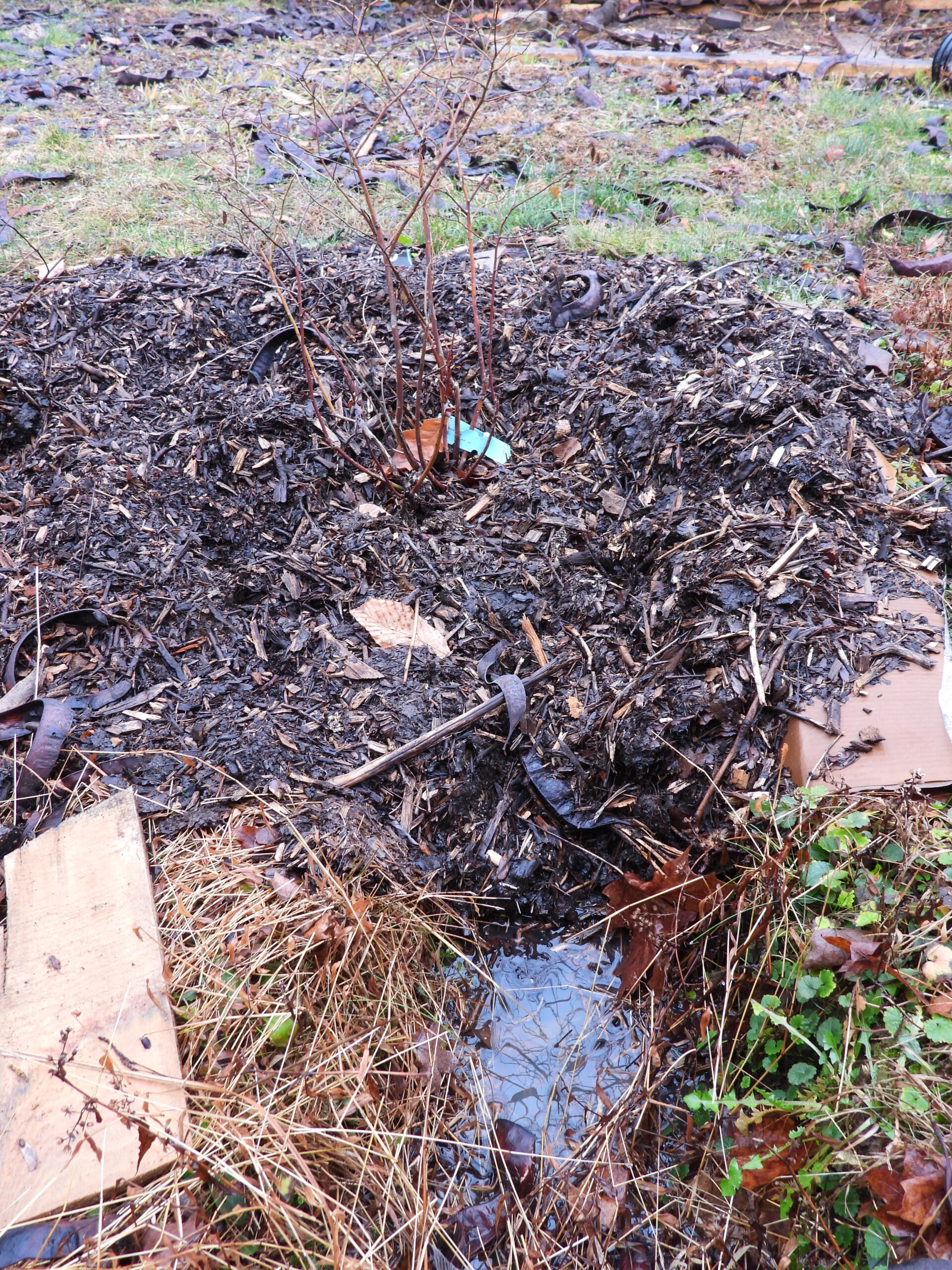 How and why to start a pit garden - WetKnee Books